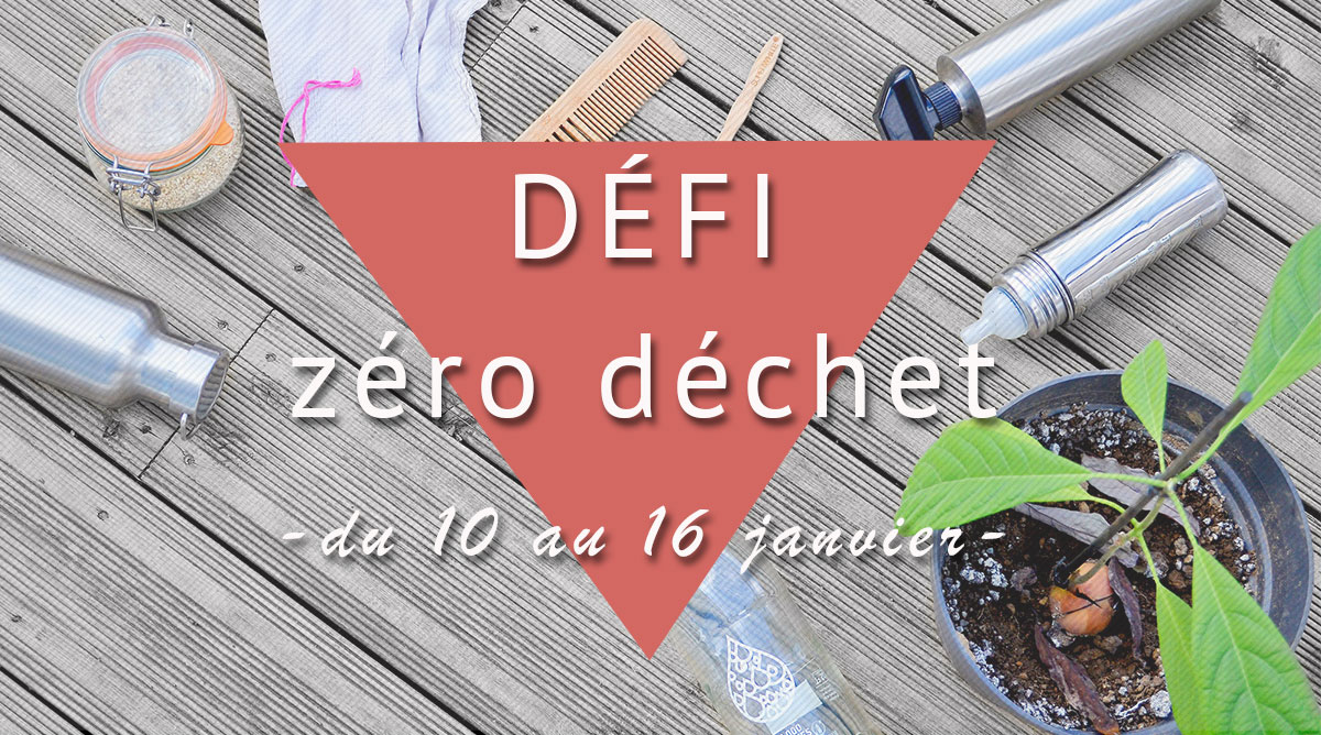 [DÉFI] Mon journal zéro déchet (01) Objectif zéro déchet